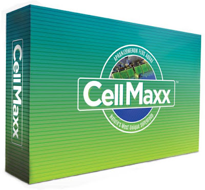 UMIE BEAUTY SHOPPE: CELLMAXX SUPPLEMENT MUJARAB