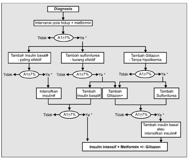 Diabetes Melitus Tipe 2 - CatatanDokter