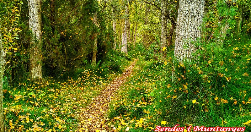 Bejís-Fuente los Cloticos-río Palancia-Poza de las Torrecillas-El ...