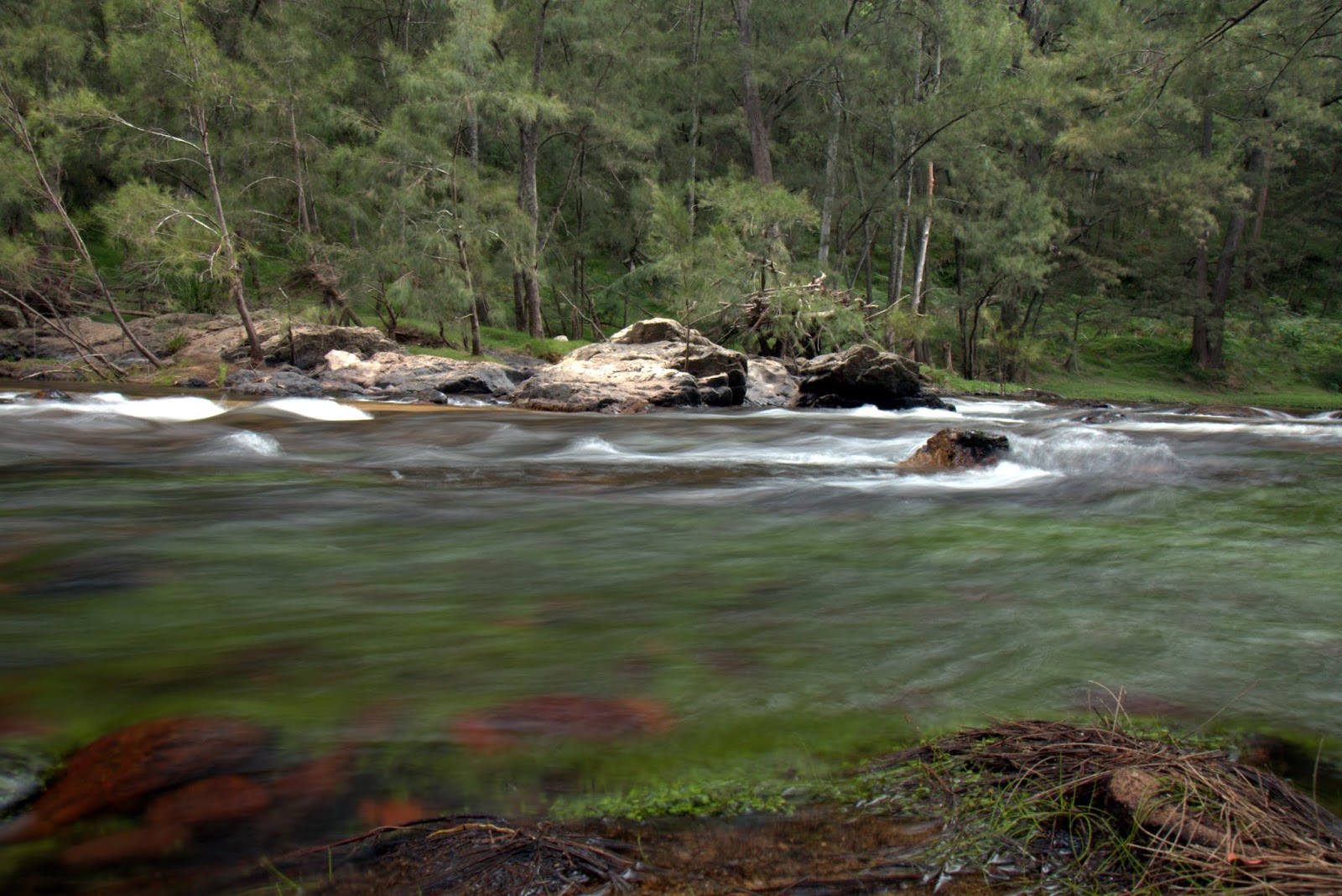 its just my life: Deua River