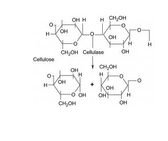 Textiles: De-sizing Process and its types