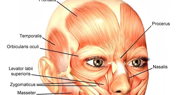 Beauty Magic Box: All About Facial Massage