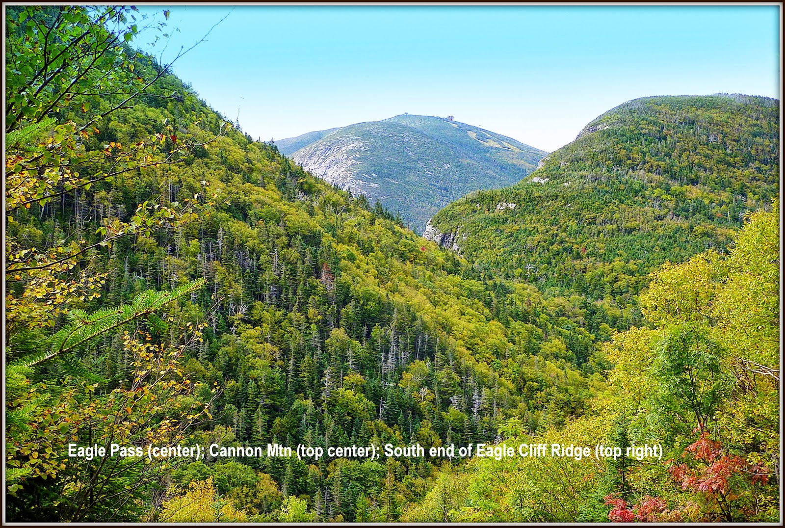 1HappyHiker: A Trek to South End of Eagle Cliff Ridge in Franconia Notch