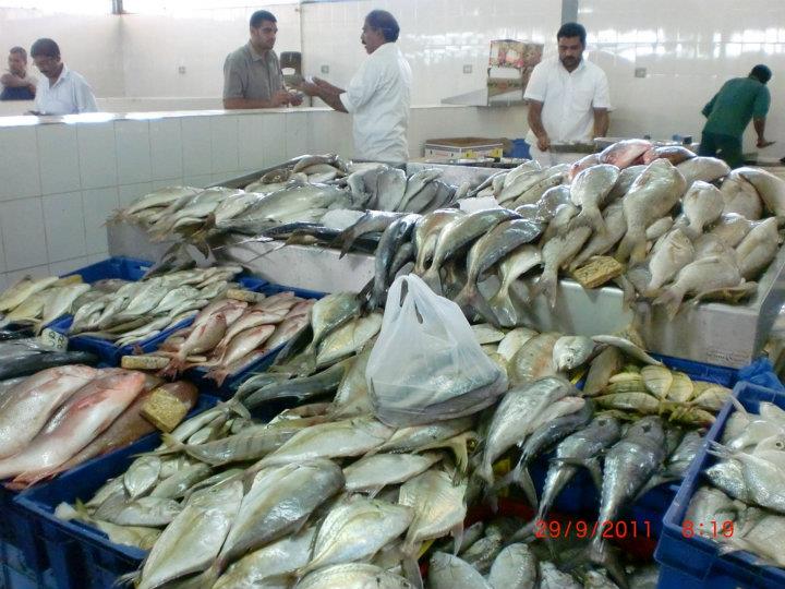 My experience in Qatar