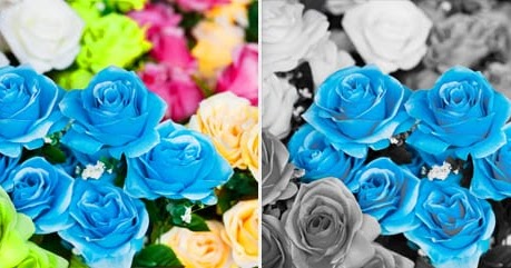 Graphic Identity: How to Partially Color a Photo in Photoshop