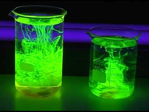 P7 Biología curso 16-17: Fotosíntesis y fluorescencia Biología V Mtra ...
