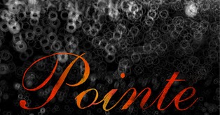 Quiet and Busy: Pointe by Brandy Colbert