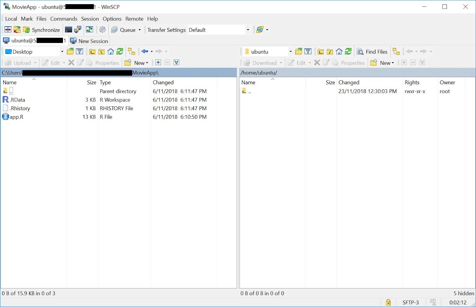 The Technical Bit: Step-by-Step Guide to setup R Shiny Server on AWS