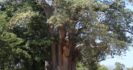 An African Odyssey: A visit to Binga District