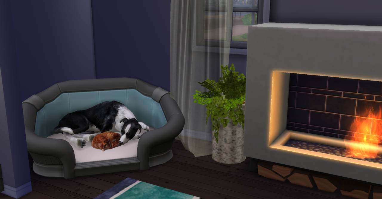 Sims 4 cats and dogs bed recolor - keepervil