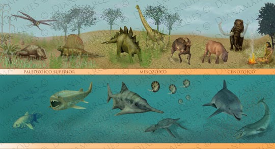 Geologia: Paleozóico