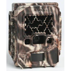 The Bigfoot Field Journal: Game Cameras - The "Scurge" of Bigfoot Research