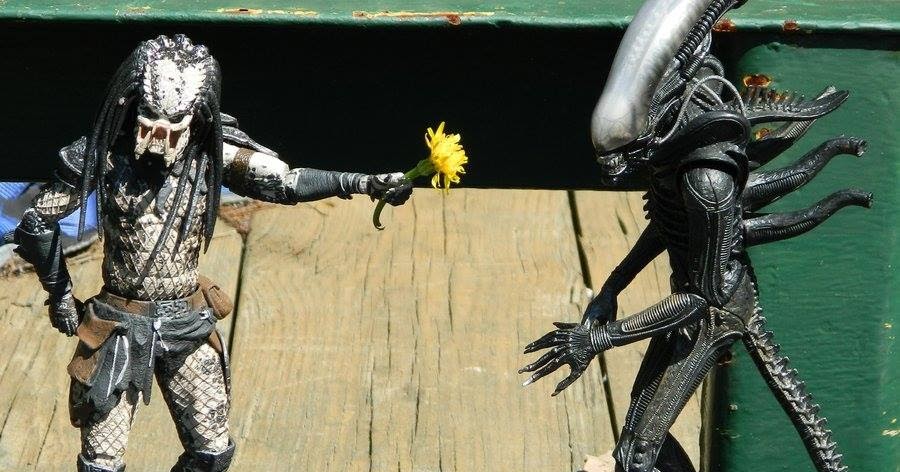 Las Fotos Mas Alucinantes: terminator vs predator