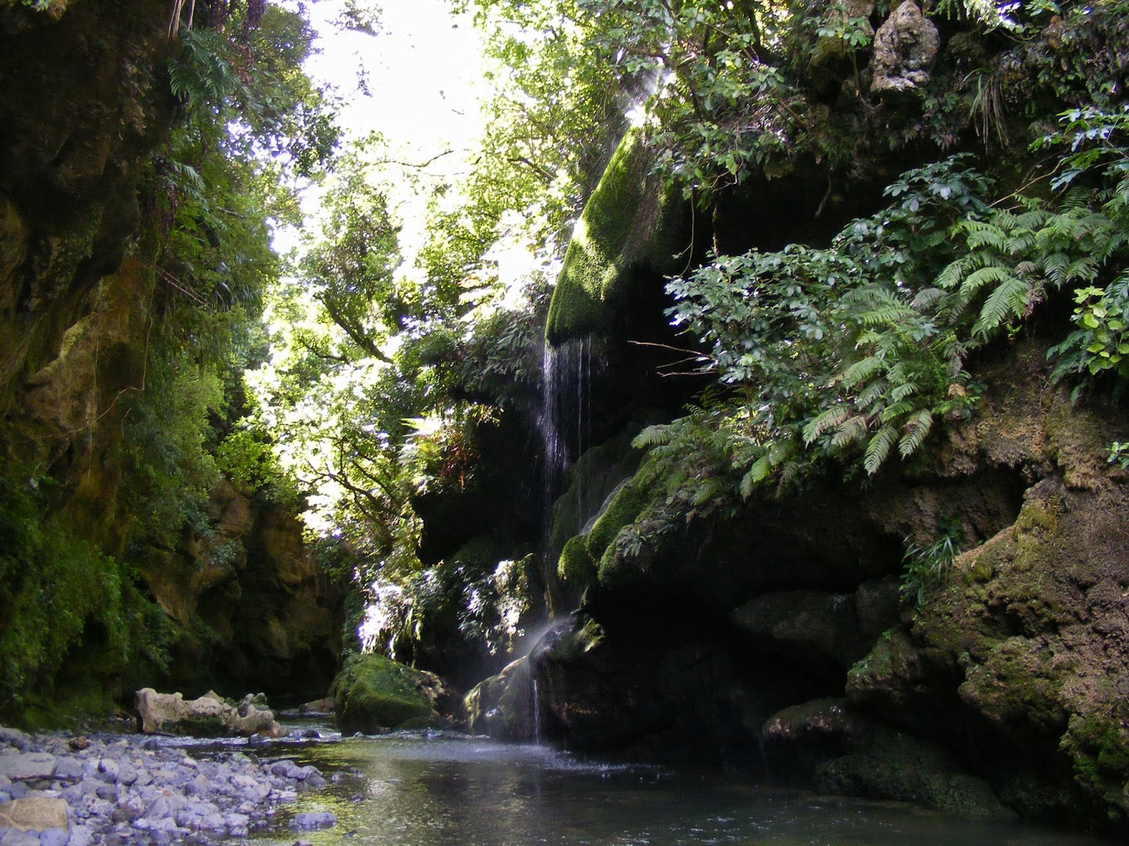 Erin's Ever After: Patuna Chasm Farm Adventure