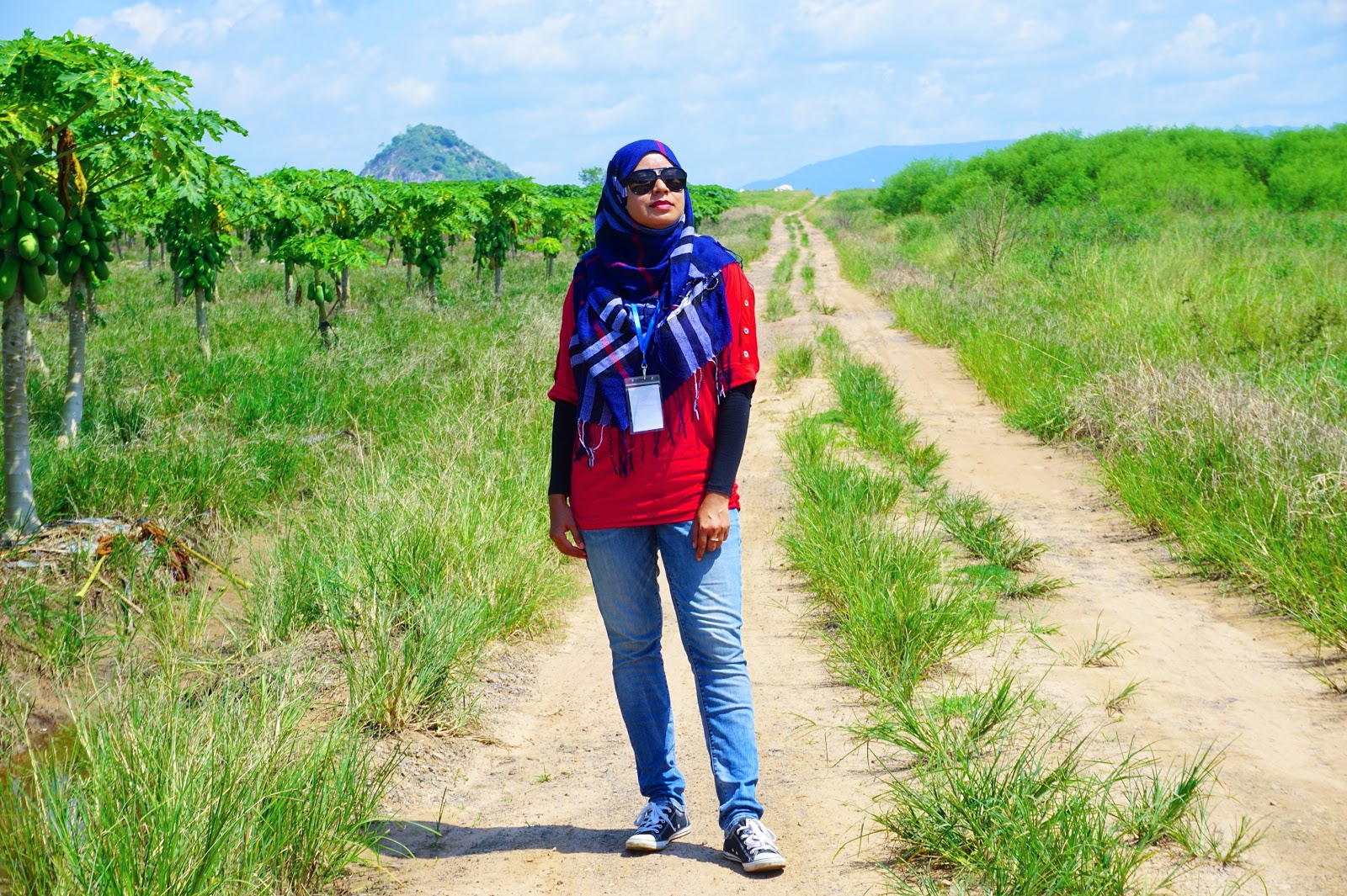 12 Tempat Menarik Di Perlis