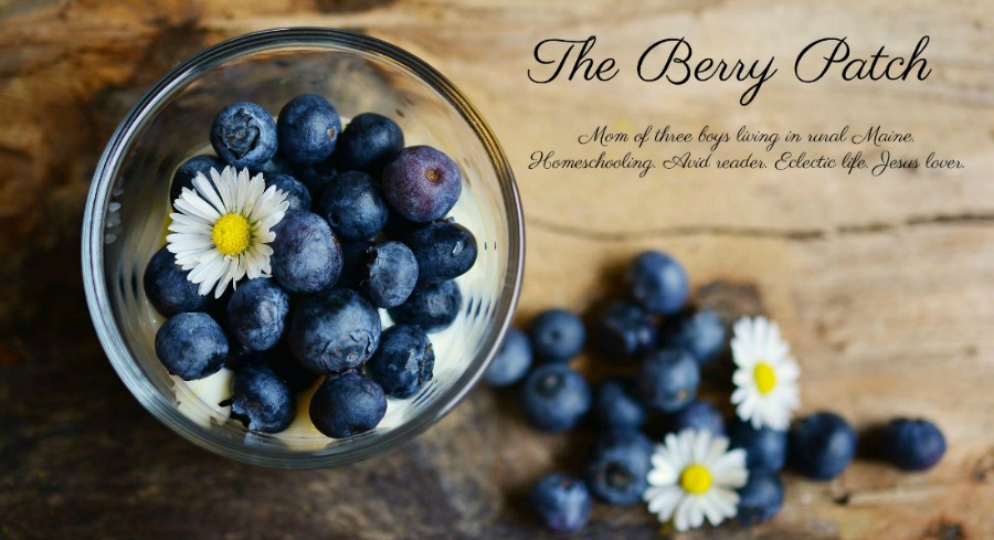 The Berry Patch: Busy Boxes