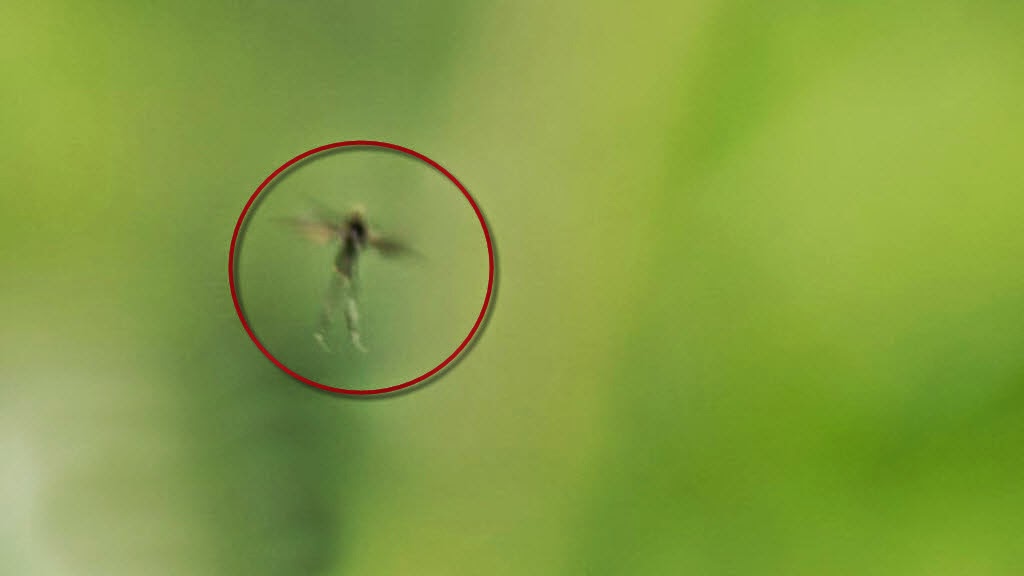 Fotografia capturada seria suficiente para dar Fe,.. de la existencia ...