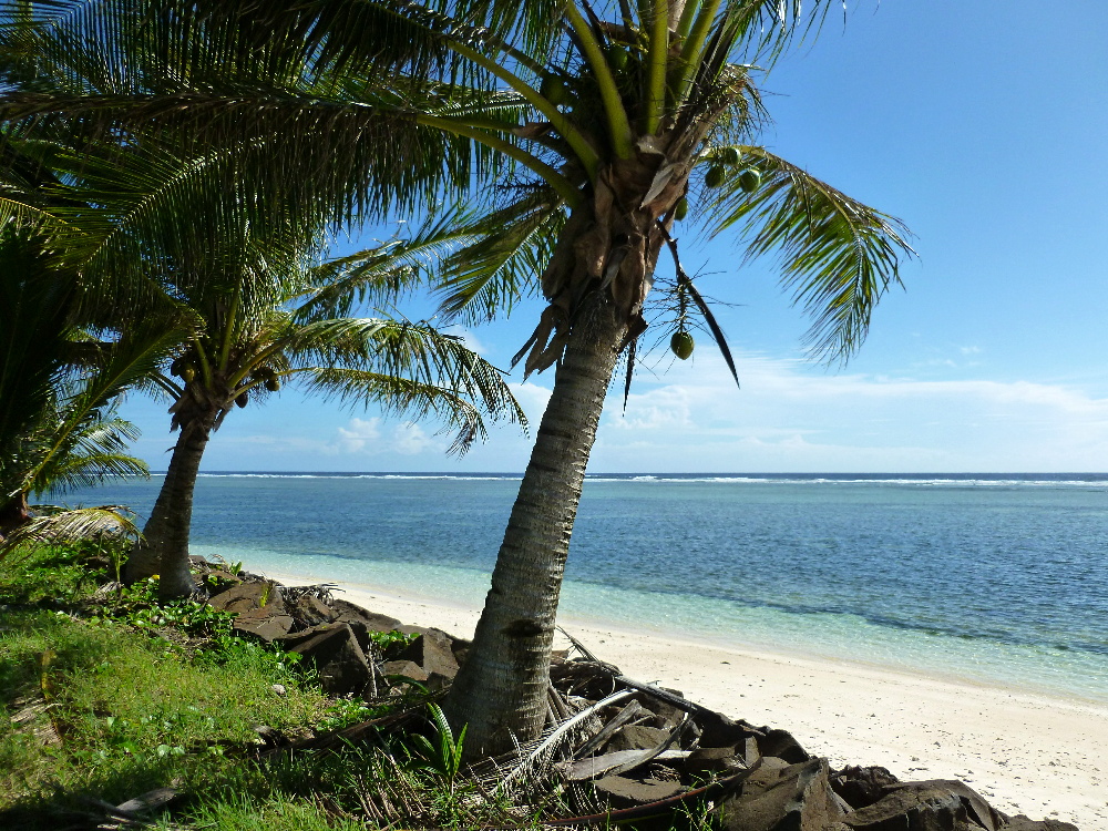 Kosrae-Pohnpei-May2011: Last full day on Kosrae - Friday, May 13th