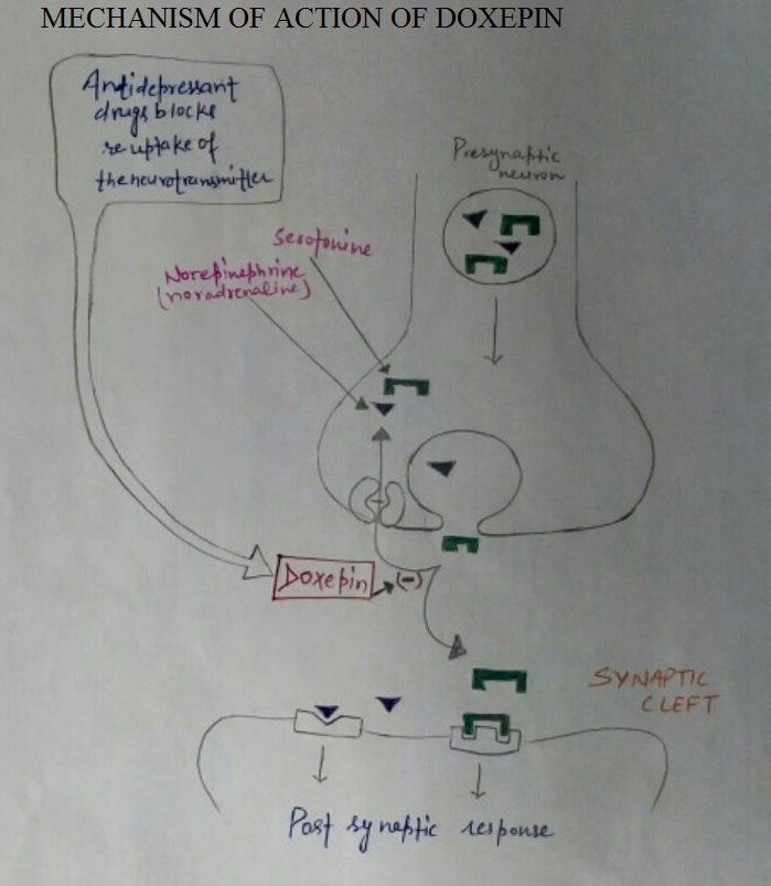 Pharmacology of Drugs: DOXEPIN