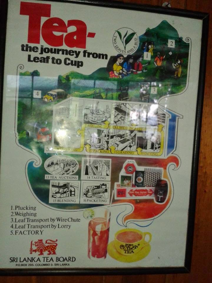 Jayanthi's Indian Recipes: Black tea/Kattan Chaya with spices