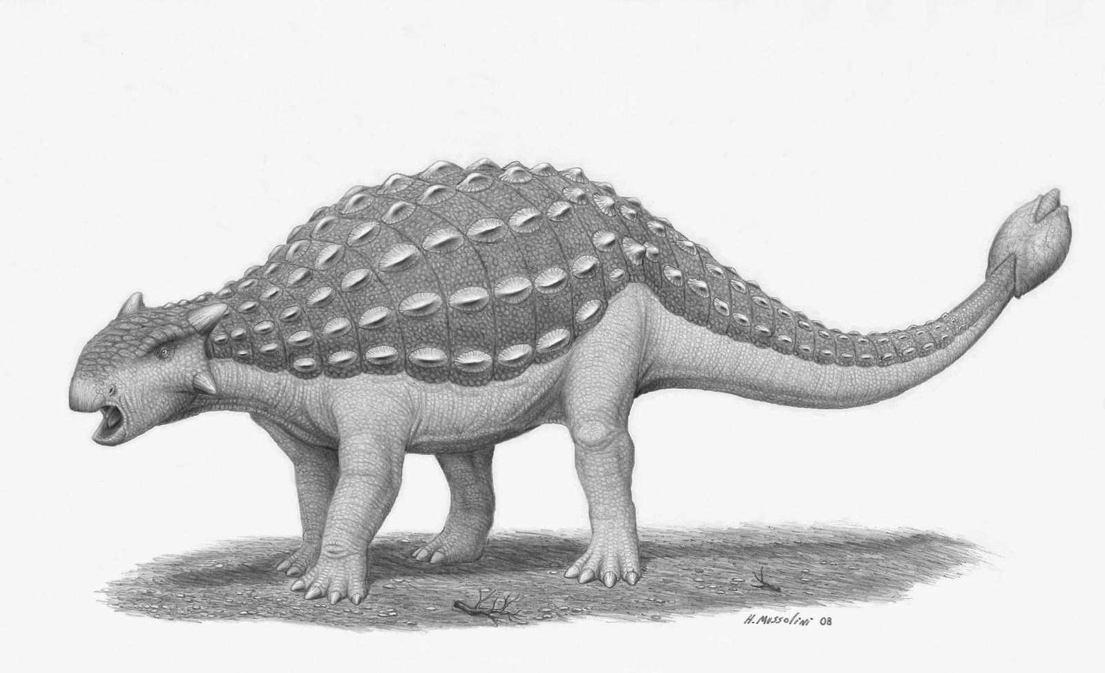 Palaeos, la historia de la Vida en la Tierra: Plagiopsia de un ...