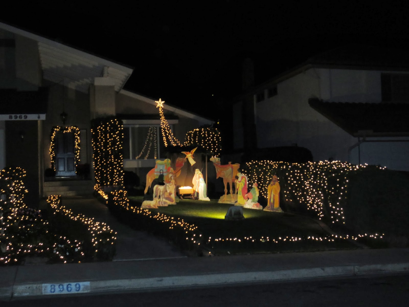 The Stephens Family: Christmas Card Lane