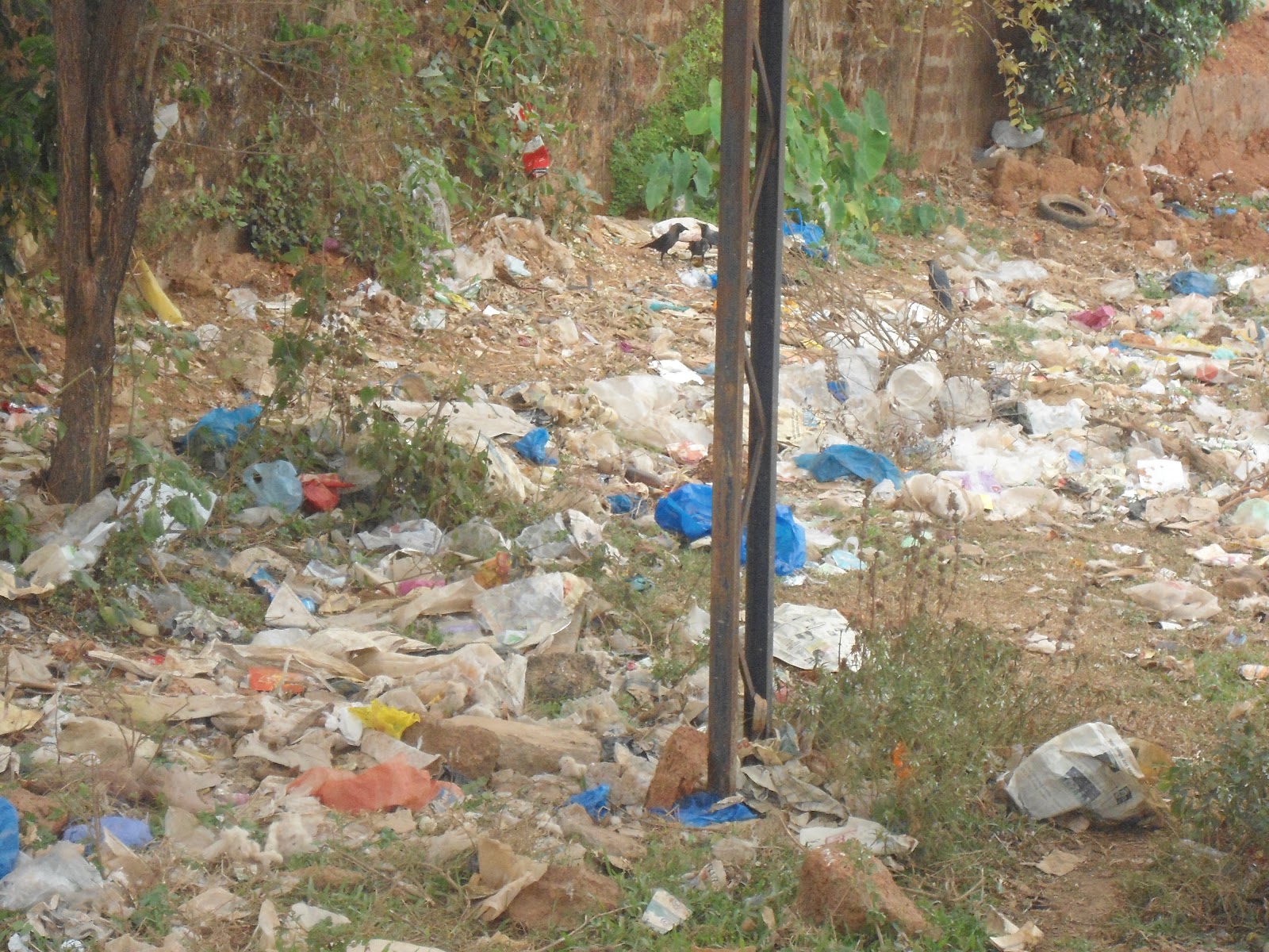 CLEAN GOA- GREEN GOA - PLASTIC FREE GOA