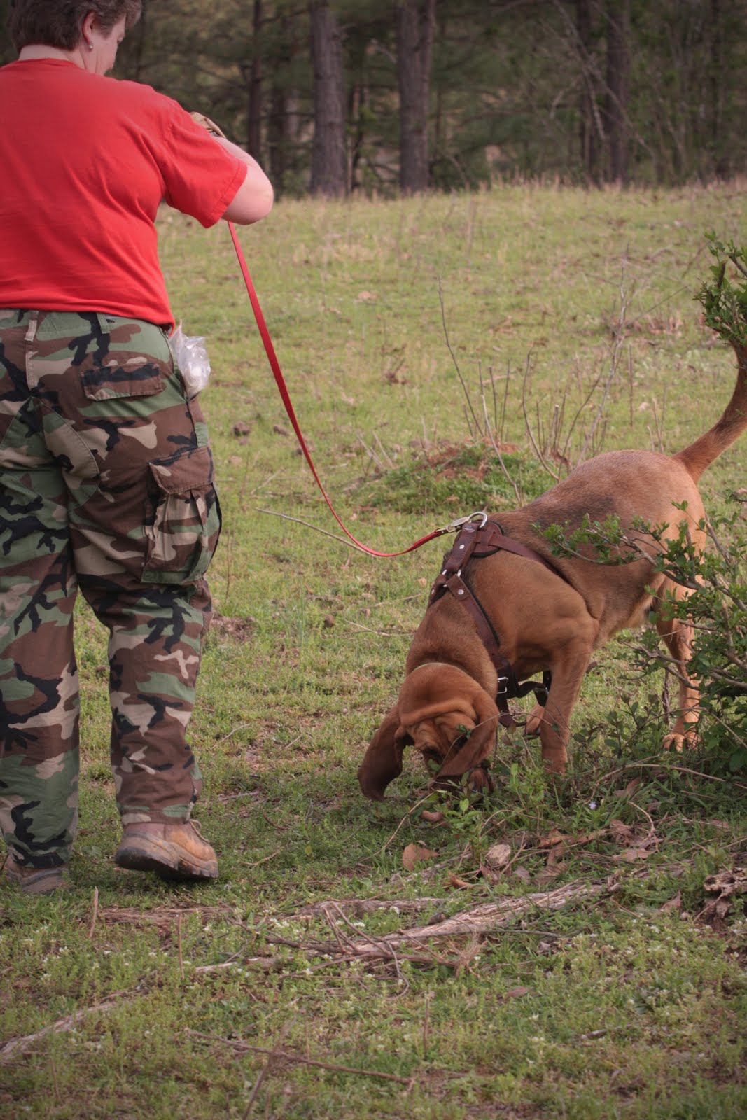 Beth Mitchell Photography