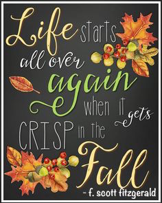 Two Men and a Little Farm: FALL IS REALY HERE