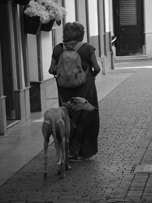 Fantasias y elucubraciones: La dama y su perro.