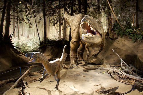 TYRANNOSAURUS REX FACTS |The Garden of Eaden