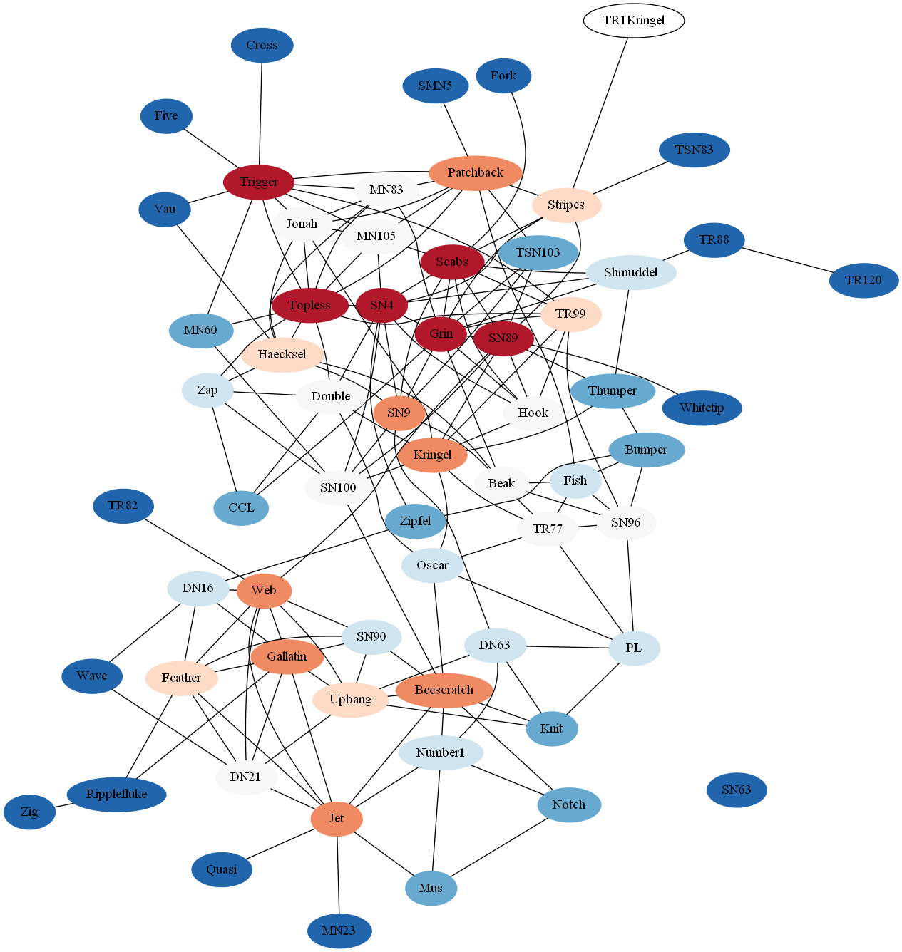 BI Future Blog: Data visualization : Network analysis with Graphviz and NodeXL