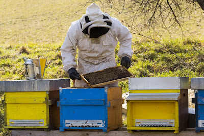 Project Based Learning: Deeper Content Knowledge Through Ask an Expert ...