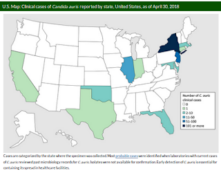 Avian Flu Diary: CDC Update: Candida Auris - April 2018