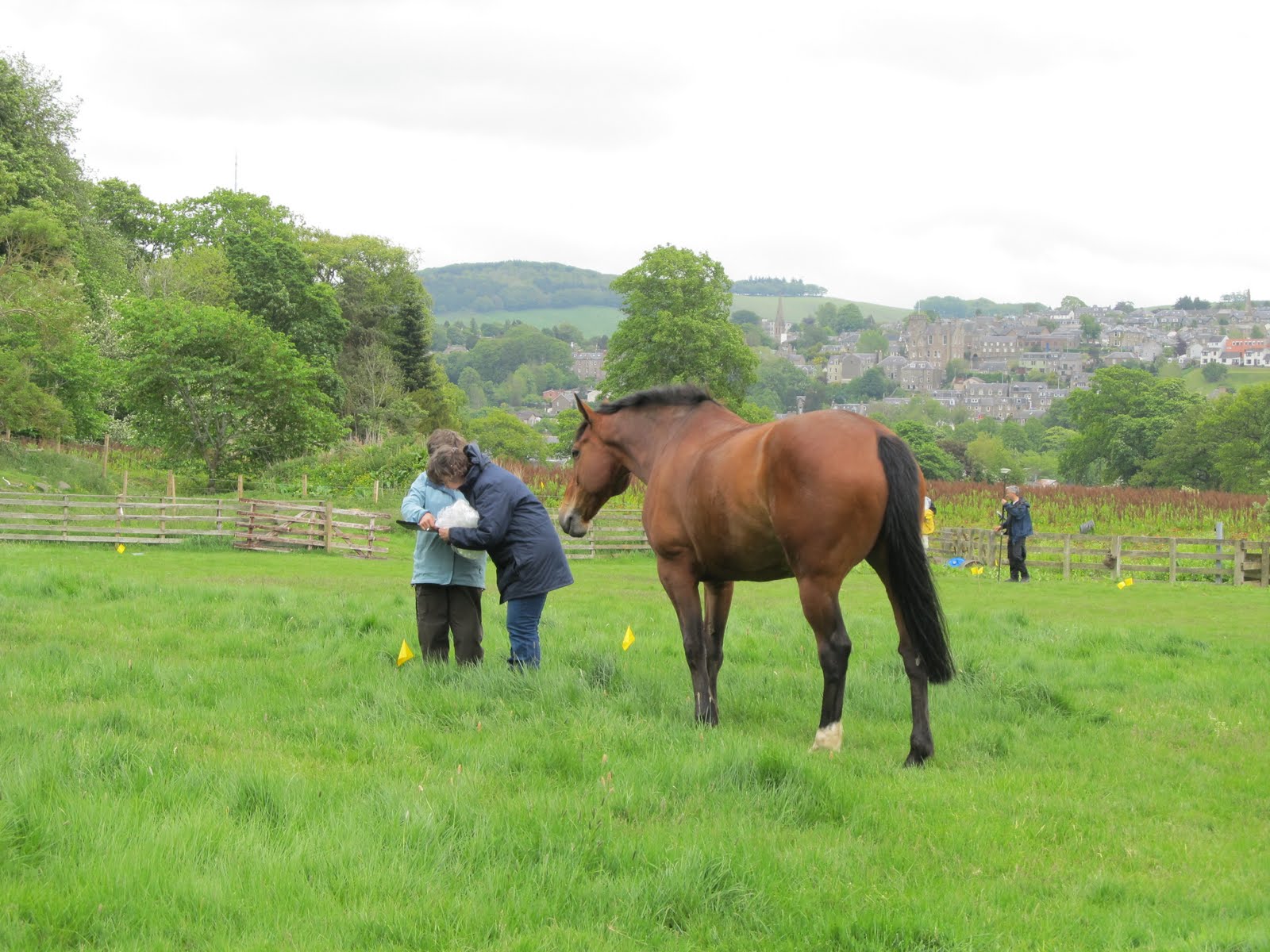 Battle of Philiphaugh Community Project