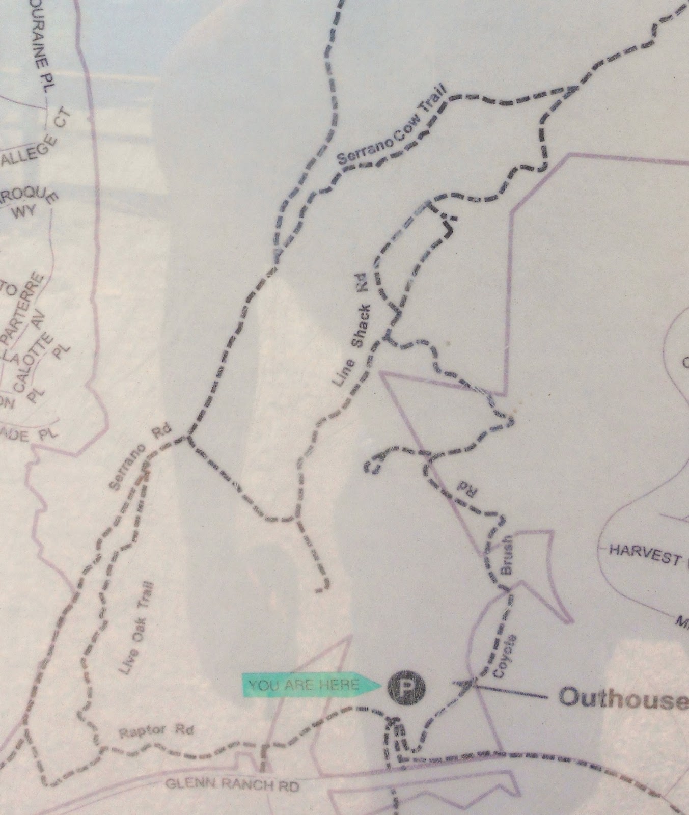 1000 Hikes in 1000 Days: Day 642: Whiting Ranch - Raptor, Live Oak ...