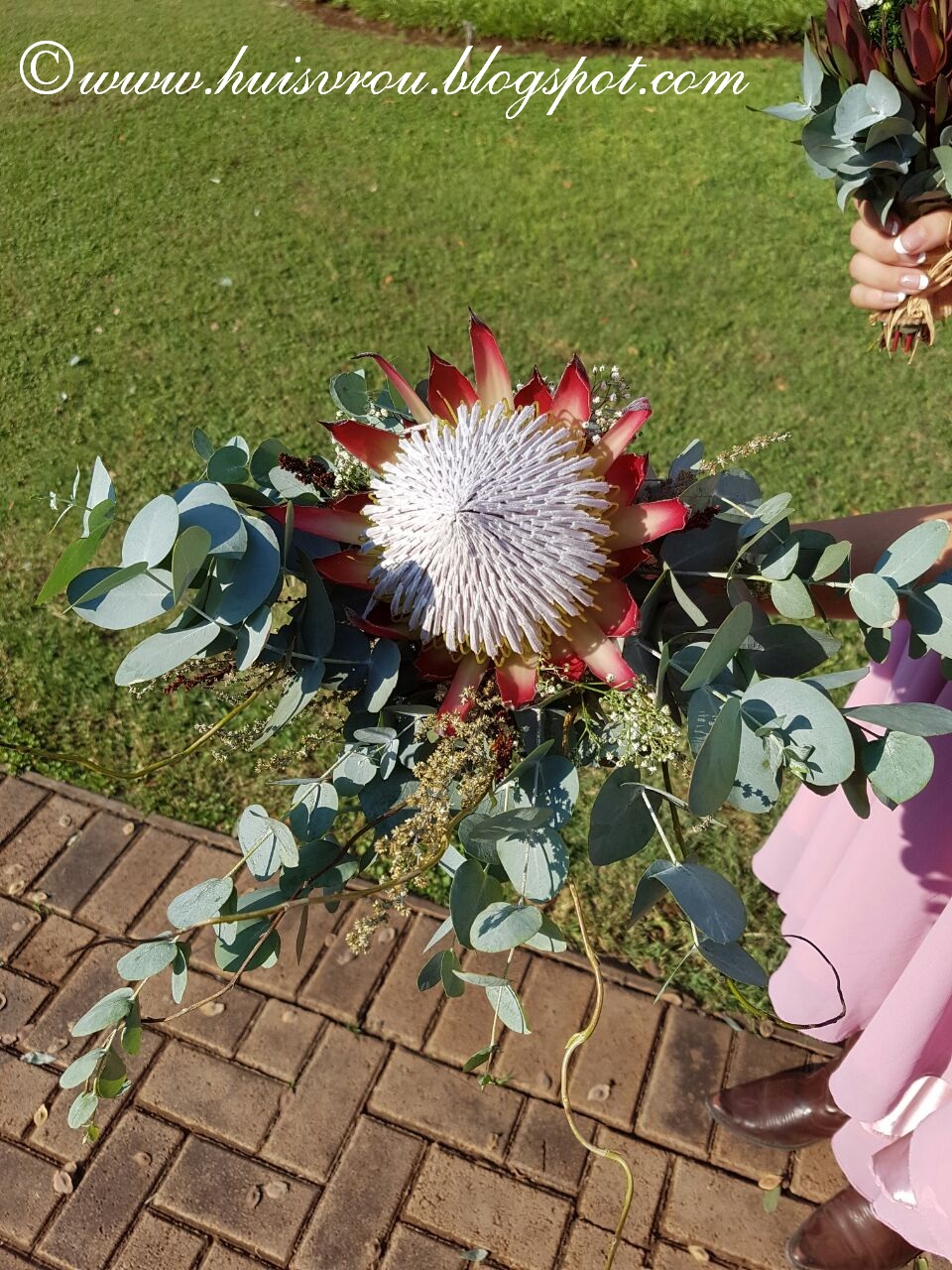 Ek en my huis.... ons sal die Here dien: 'n Bosveldse Bos-troue (deel 2)