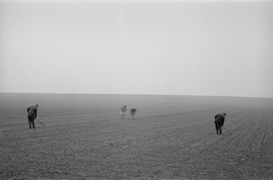 Los Grandes Fotografos: John Vink (1948)
