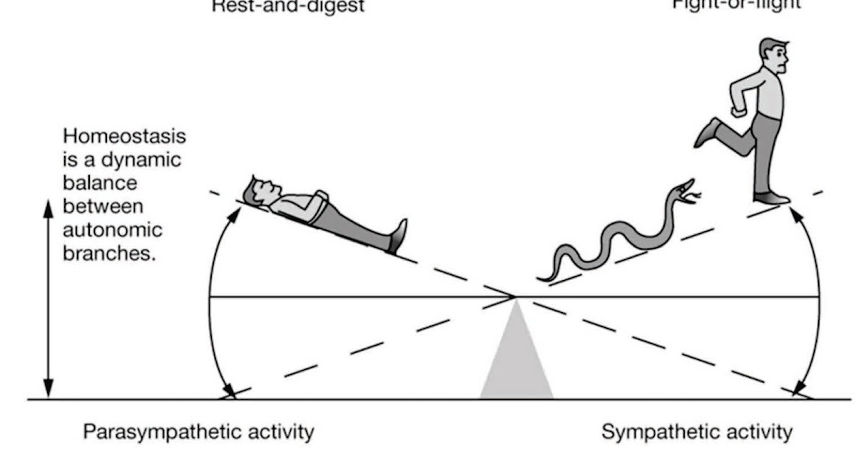 Brein + Lyf = Jy: LYF GESONDHEID - Is jy bang Jan of dooie Jan