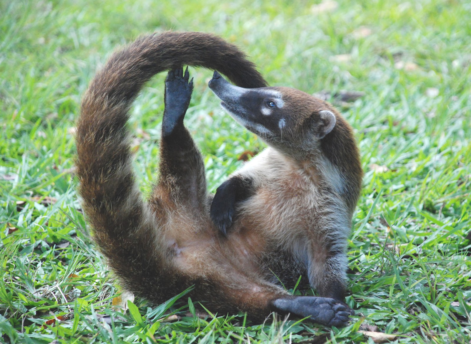 Rulon Simmons Photography: February 2013