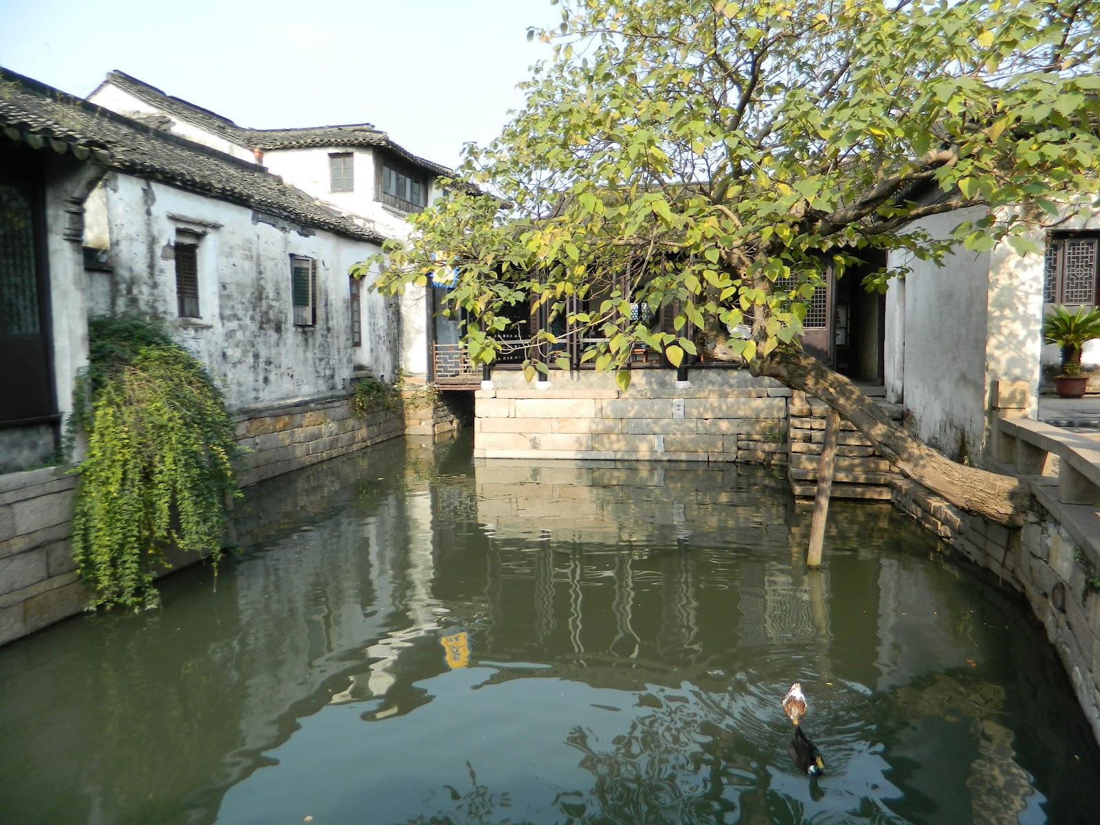 Jax Stumpes: Zhouzhuang (11/24/2012)