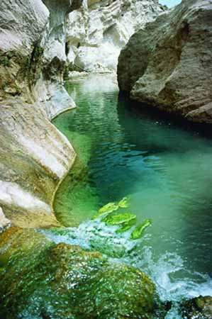Barranco del Infierno ~ MundoTenerife