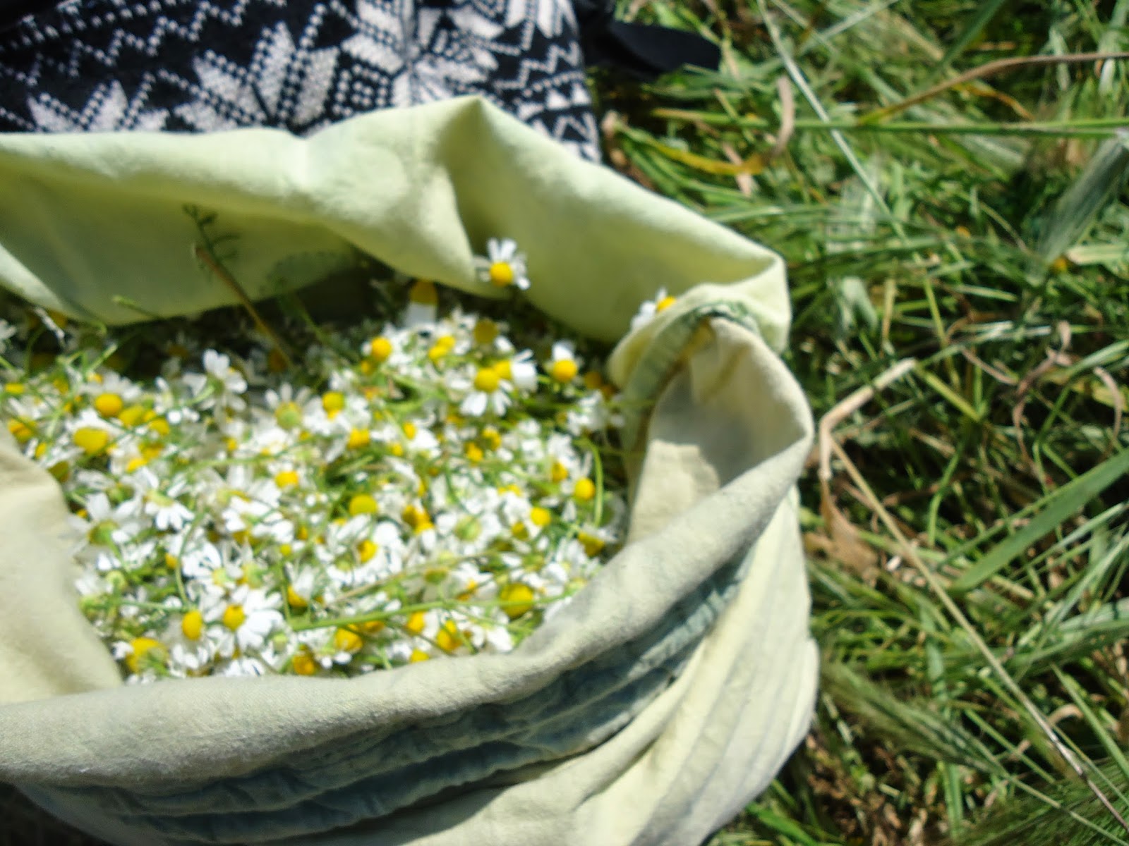 Naturally Made!: ΕΔΩ ΜΠΟΡΕΙΤΕ ΝΑ ΔΙΑΒΑΣΕΤΕ ΜΕ ΑΛΦΑΒΗΤΙΚΗ ΣΕΙΡΑ ΓΙΑ ΟΛΑ ...