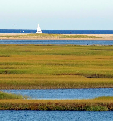 Joe's Retirement Blog: Fort Hill, Eastham, Cape Cod National Seashore ...