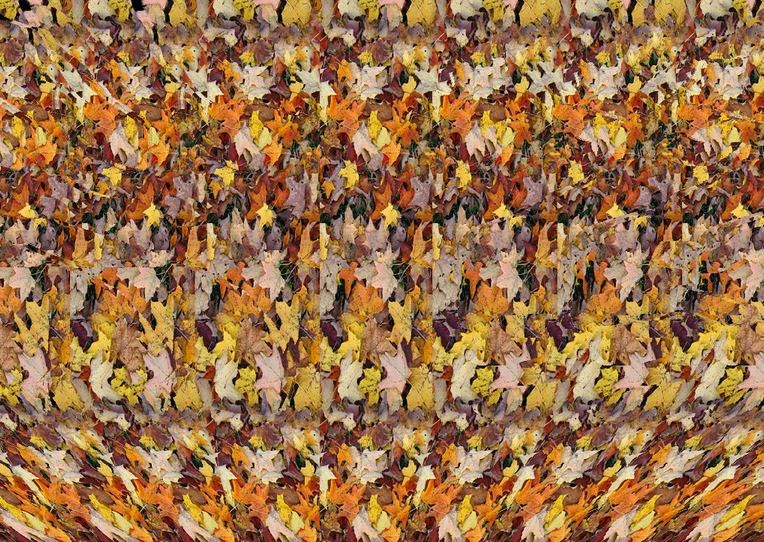 Le foto più belle: Stereogramma n° 31