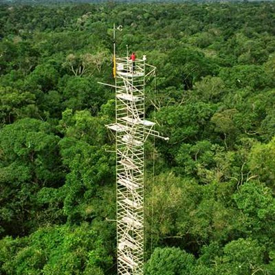 Mtayarishaji: MNARA MREFU MSITU WA AMAZON, BRAZIL