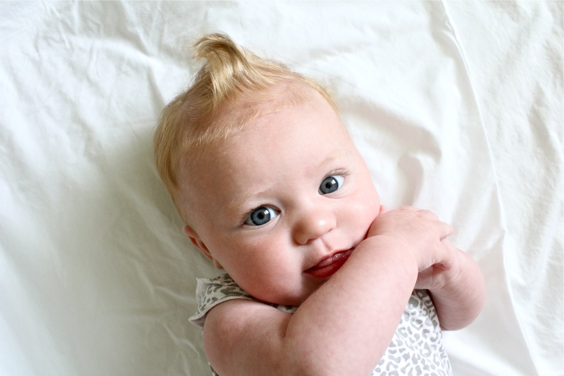 the Pompadour - MADE EVERYDAY