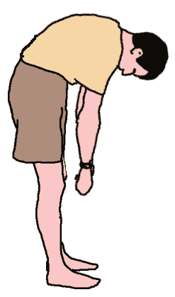 Back Extension Vs Flexion