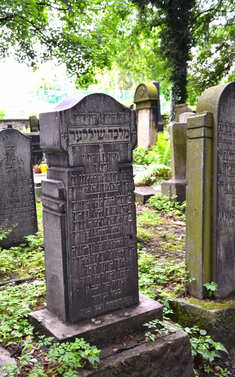 Krakova: juutalaisuus