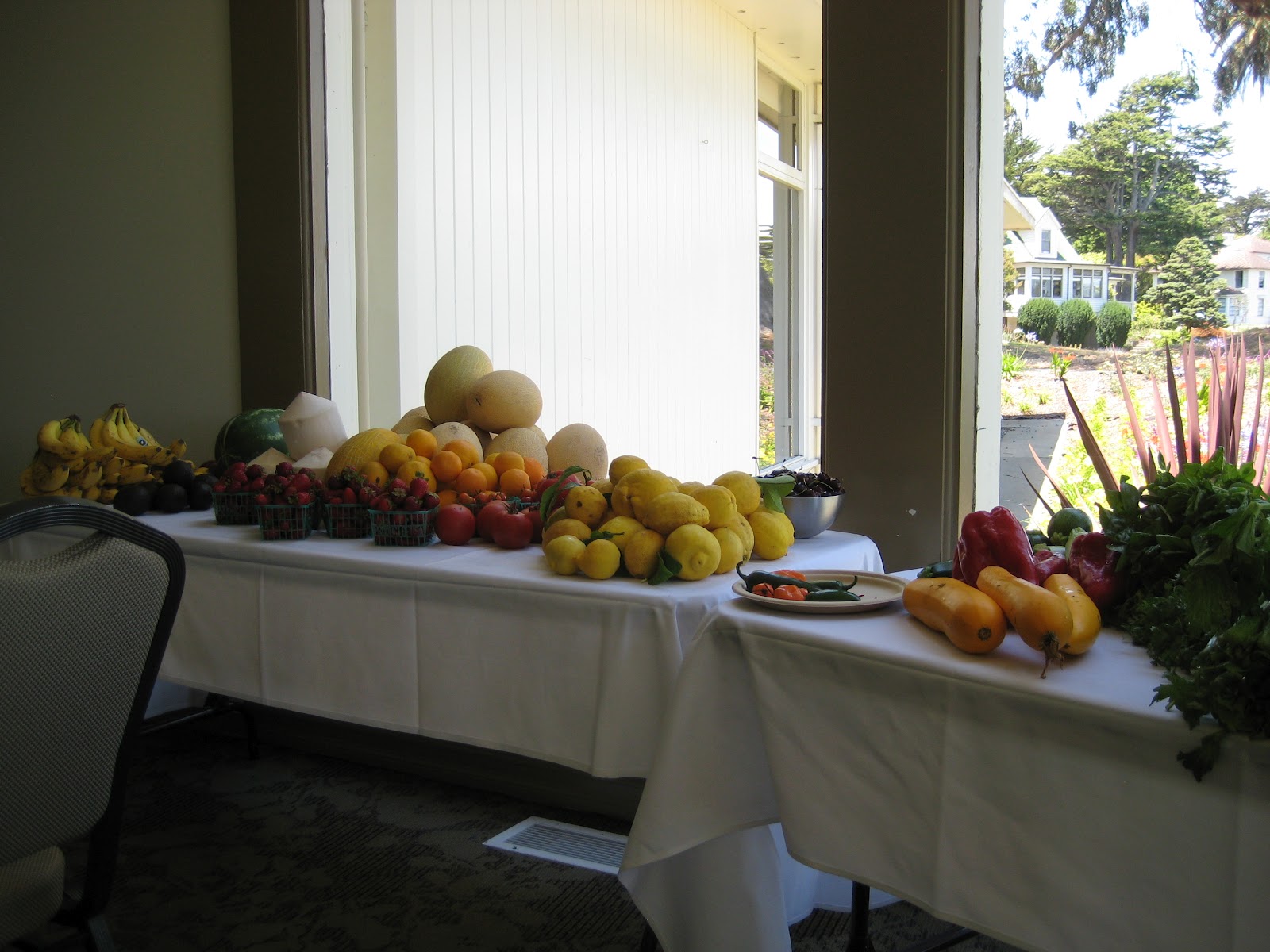 Pleasanton Foodie: A day with Dan McDonald the "Life Regenerator"